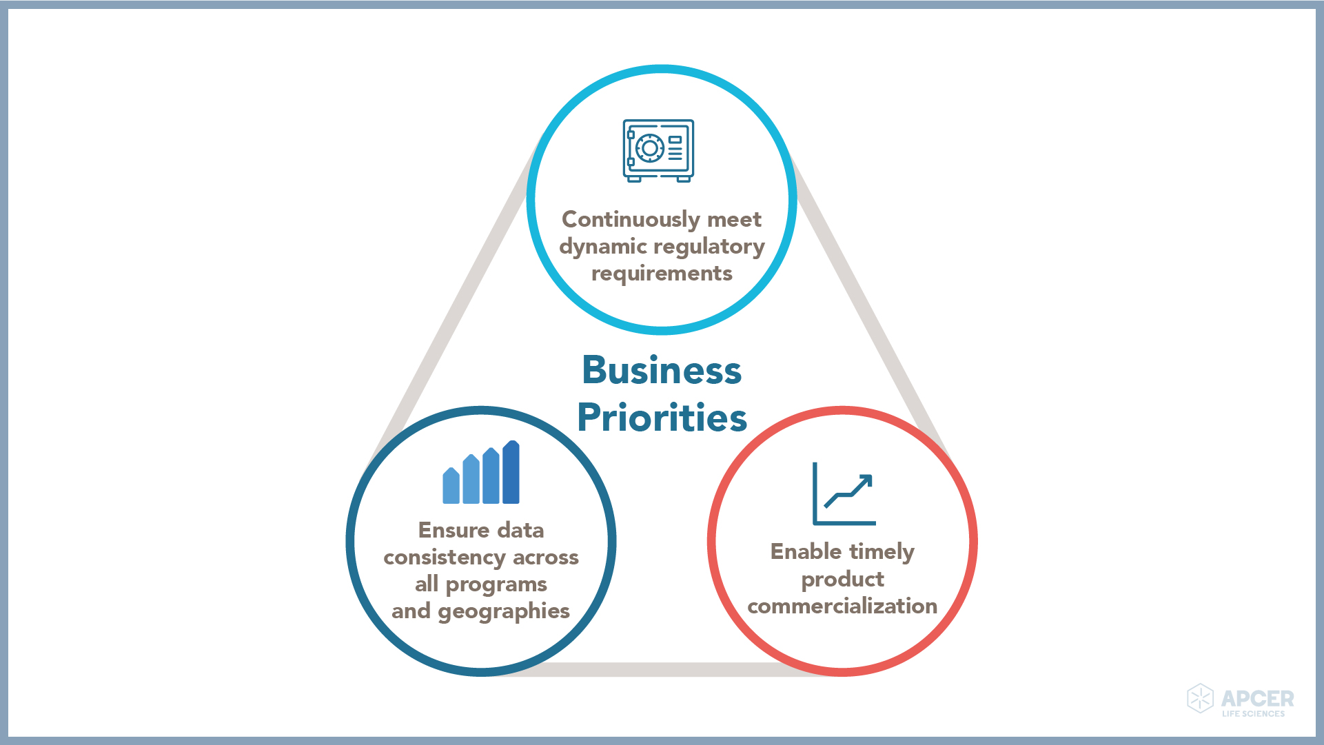 Business Priorities in a Drug life cycle - APCER Life Sciences